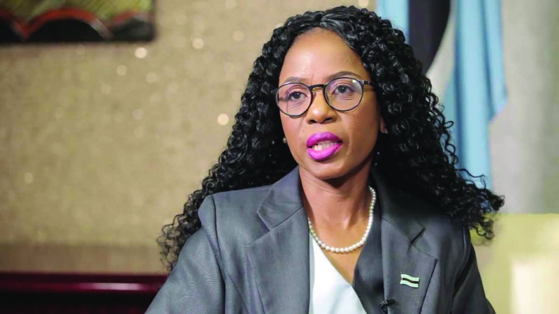 Domestic economy on recovery mode - Serame | Guardian Sun