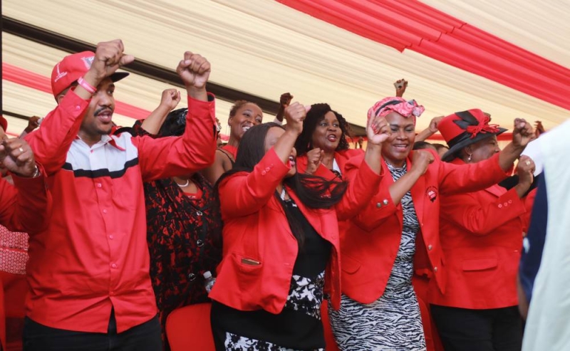 BDP divisions emerge in Gaborone region | Guardian Sun