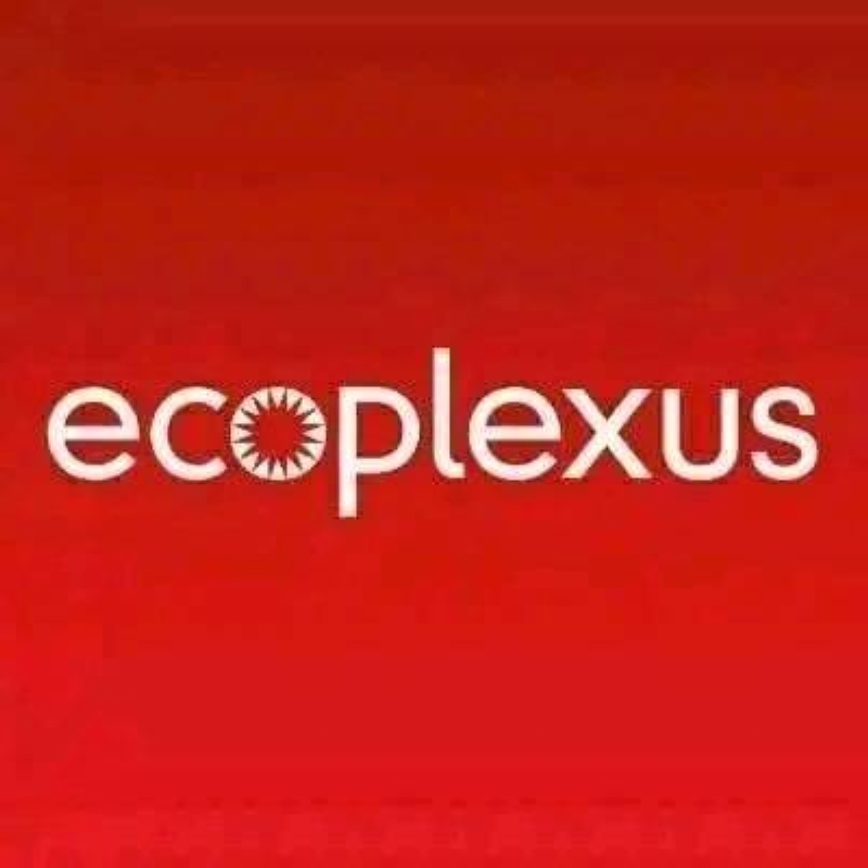 Ecoplexus scam reports rise in Mochudi | Guardian Sun