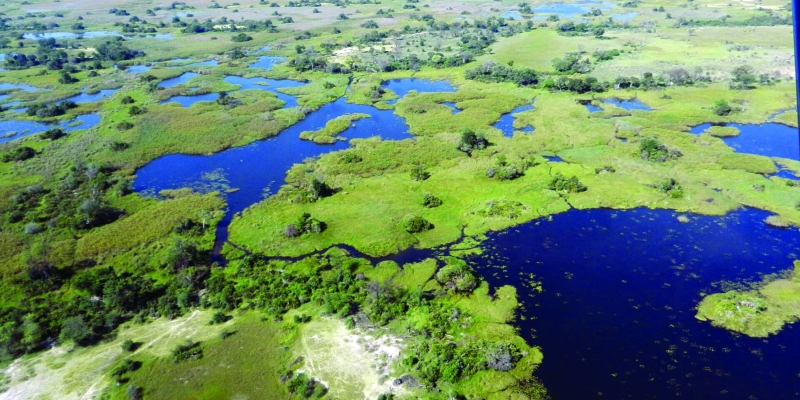 OKACOM secretariat introduces CORB Fund initiative | Guardian Sun