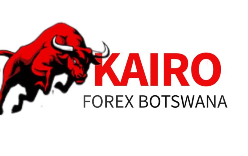 Access to reliable forex content key-Kairo Forex founder | Guardian Sun
