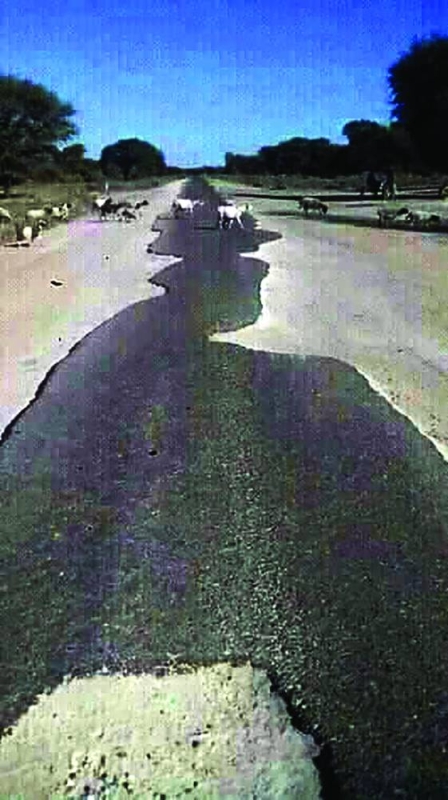 Gumare-Sepopa road stalls | Guardian Sun